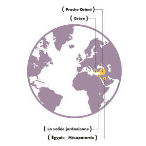 Histoire du Vin : Origines des Vignobles & Découvertes Oenologiques