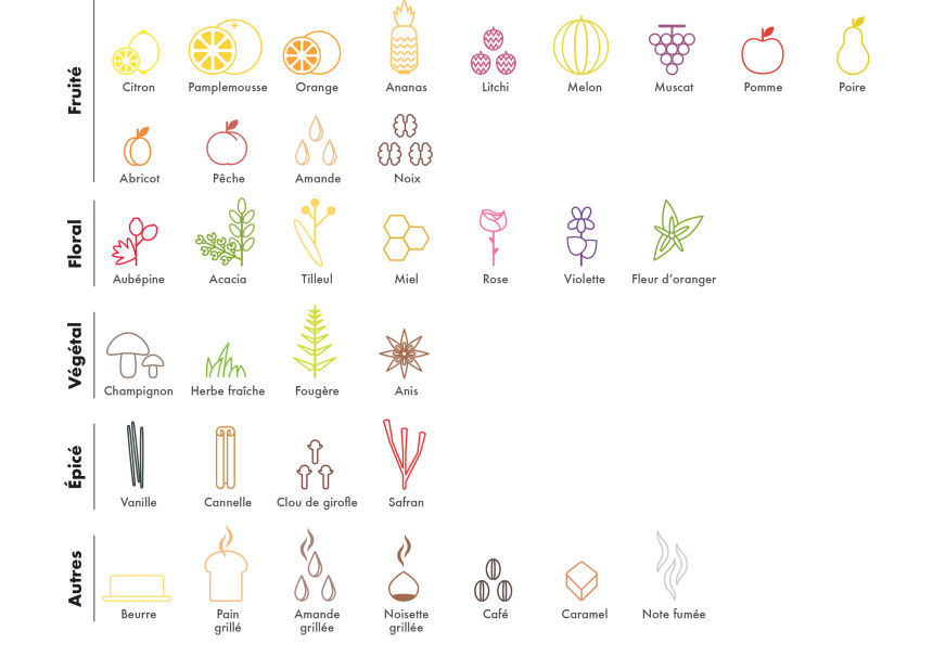 Les Arômes du Vin : Un Bon Nez pour Découvrir ses Profils Aromatiques